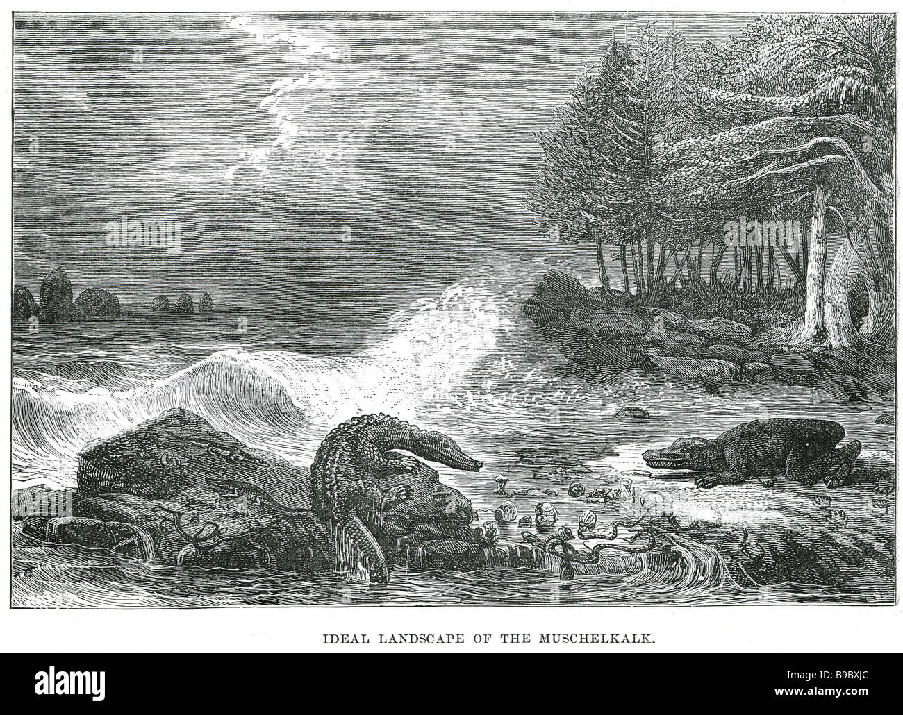 Middle triassic period hi-res stock photography and images - Alamy