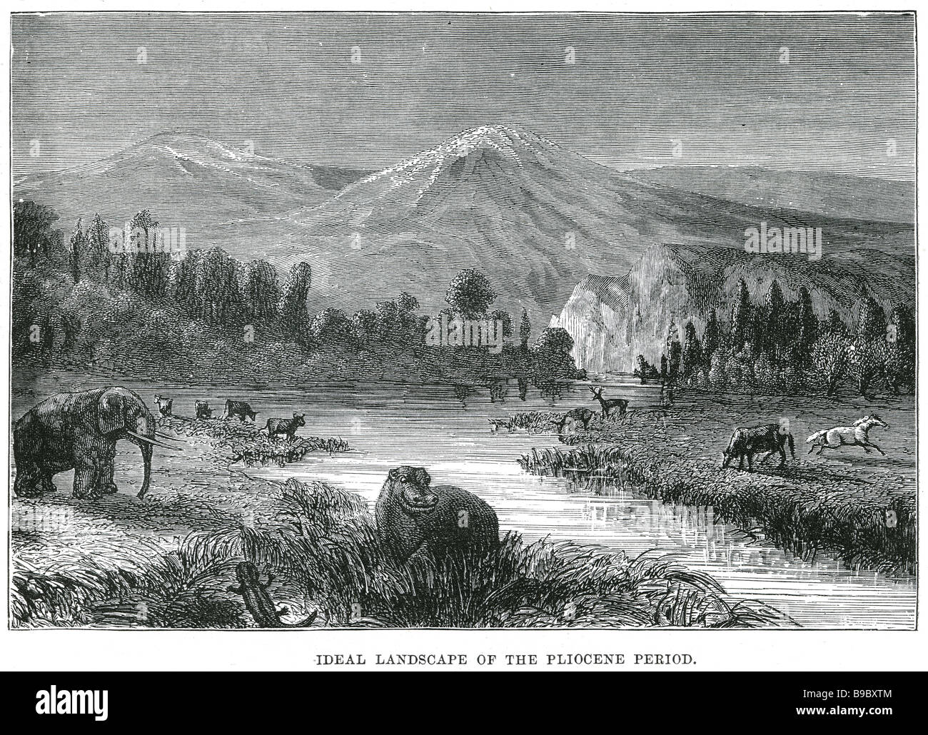 Pliocene epoch hi-res stock photography and images - Alamy