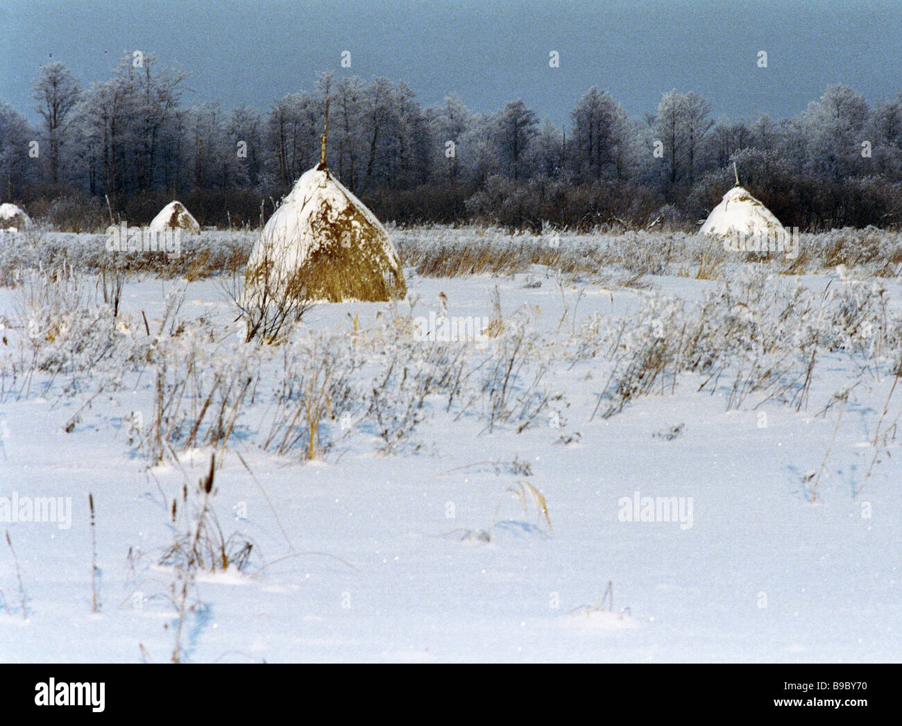 Environs of Mugreevo Nikolskoye village Stock Photo - Alamy