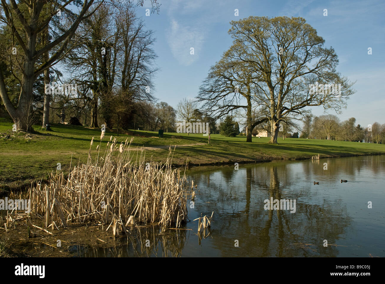 Lydiard house hi-res stock photography and images - Alamy