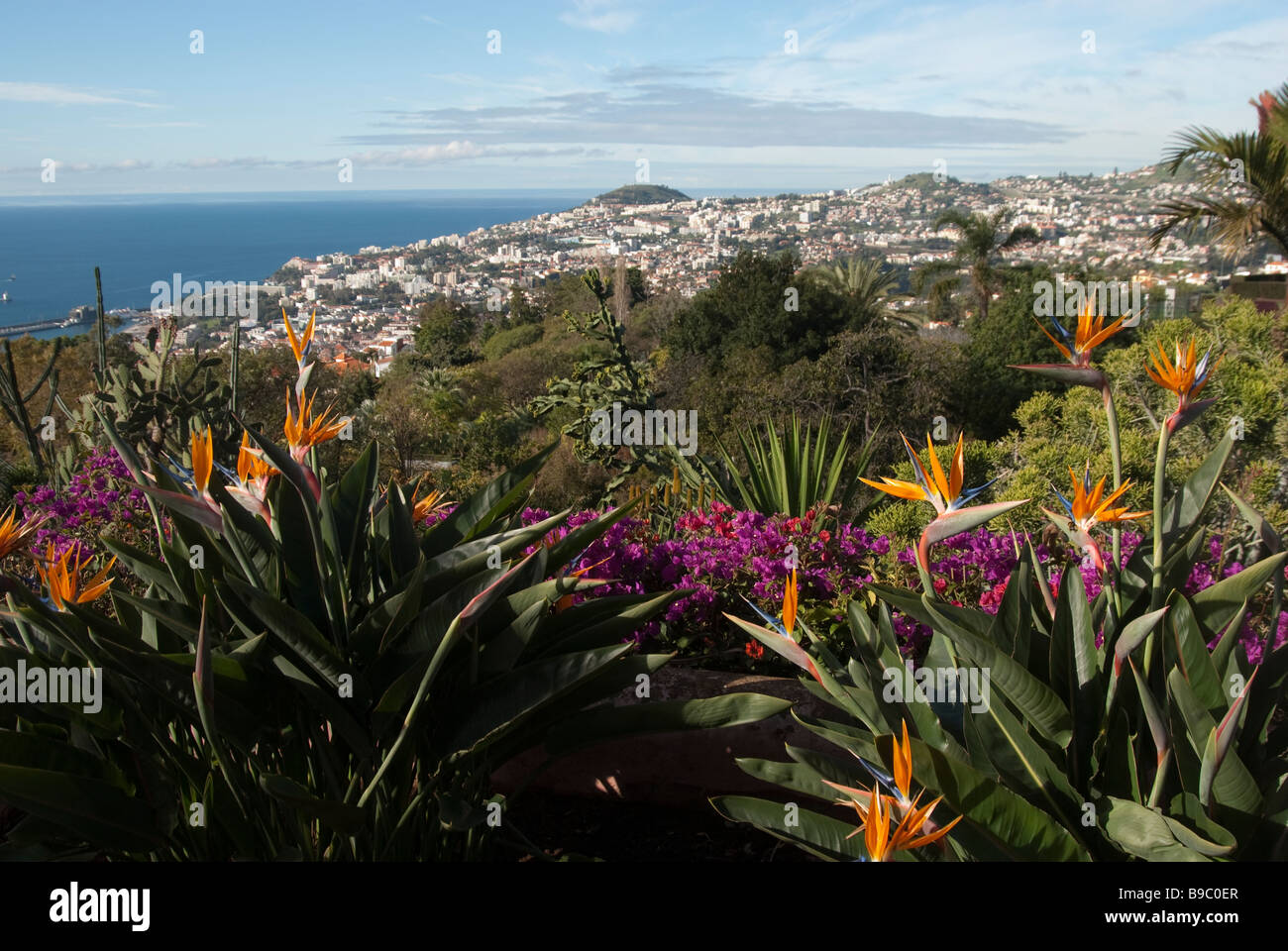 View over funchal hi-res stock photography and images - Alamy