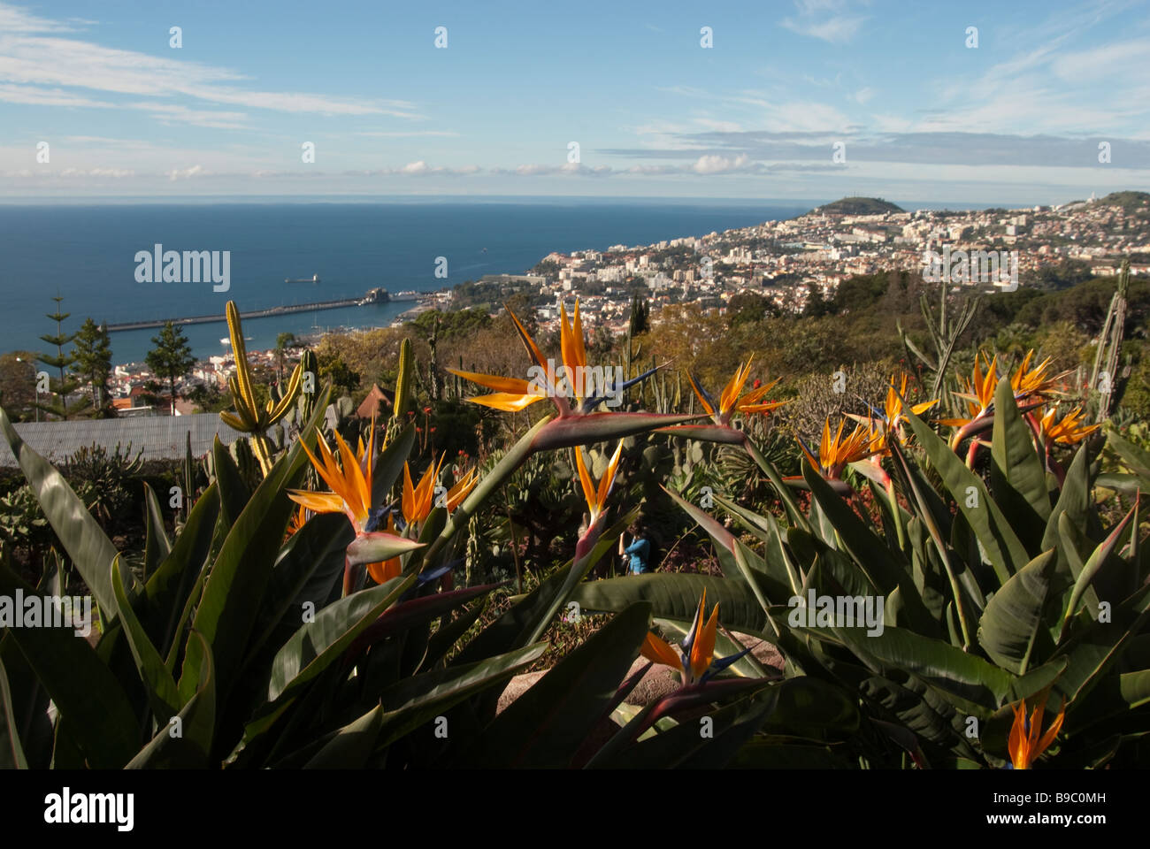 View over funchal hi-res stock photography and images - Alamy