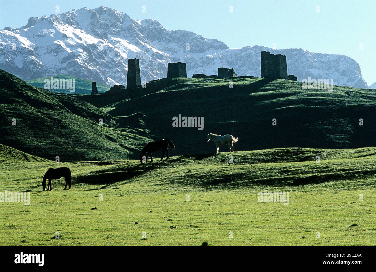 Alpine meadows in Morchi village Stock Photo - Alamy