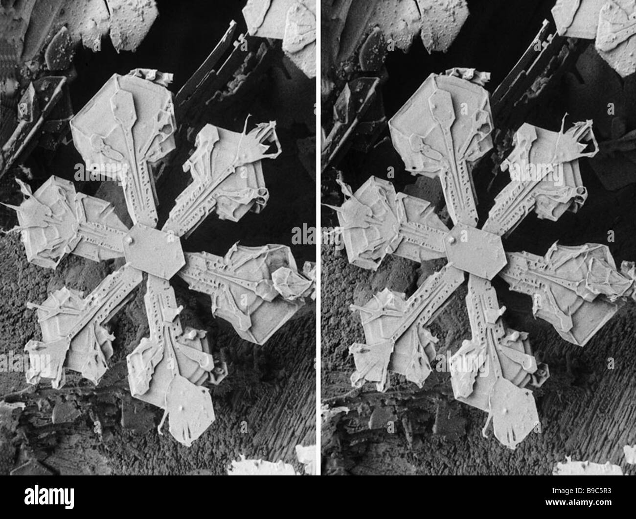 Electron micrograph of a tsuzumi snowflake crystal Stock Photo - Alamy