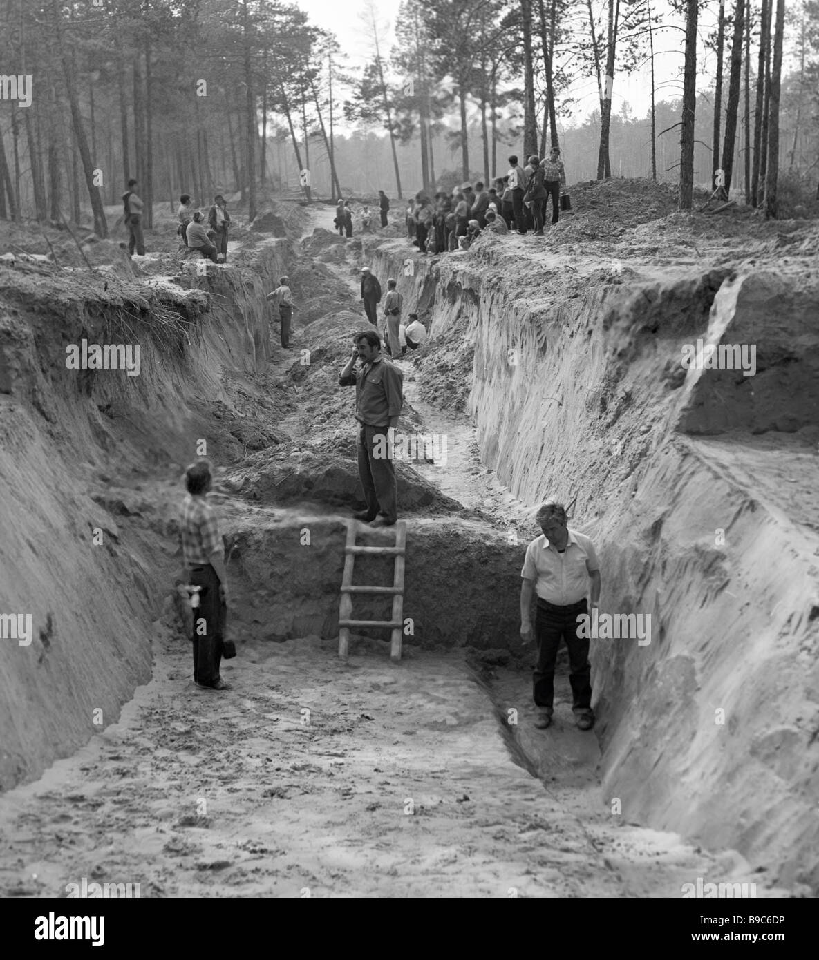 Archeologists in the Diring Yuryakh excavations Stock Photo - Alamy