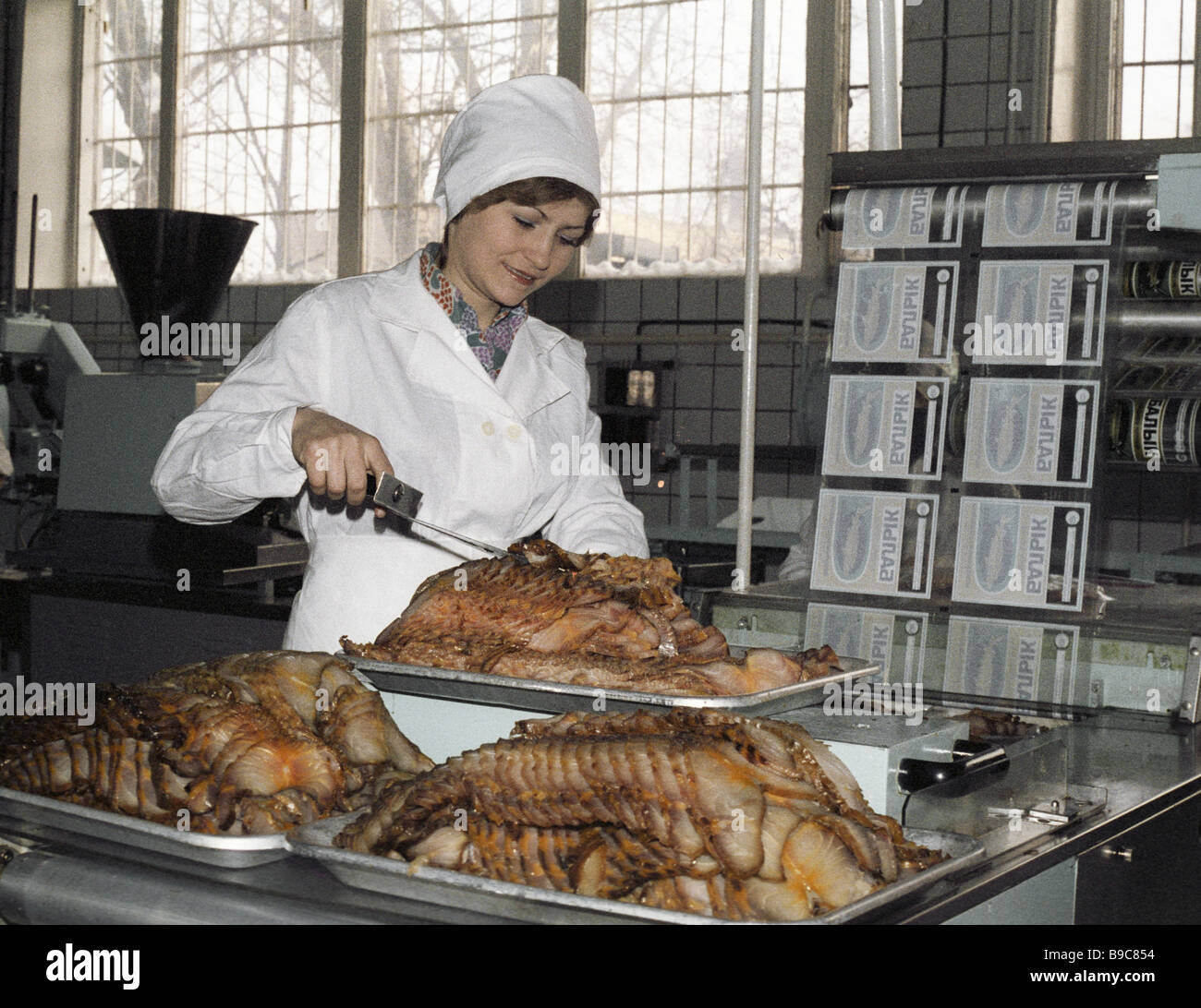 A girl worker slices cured sturgeon fillet Mosryba fish cannery Moscow ...