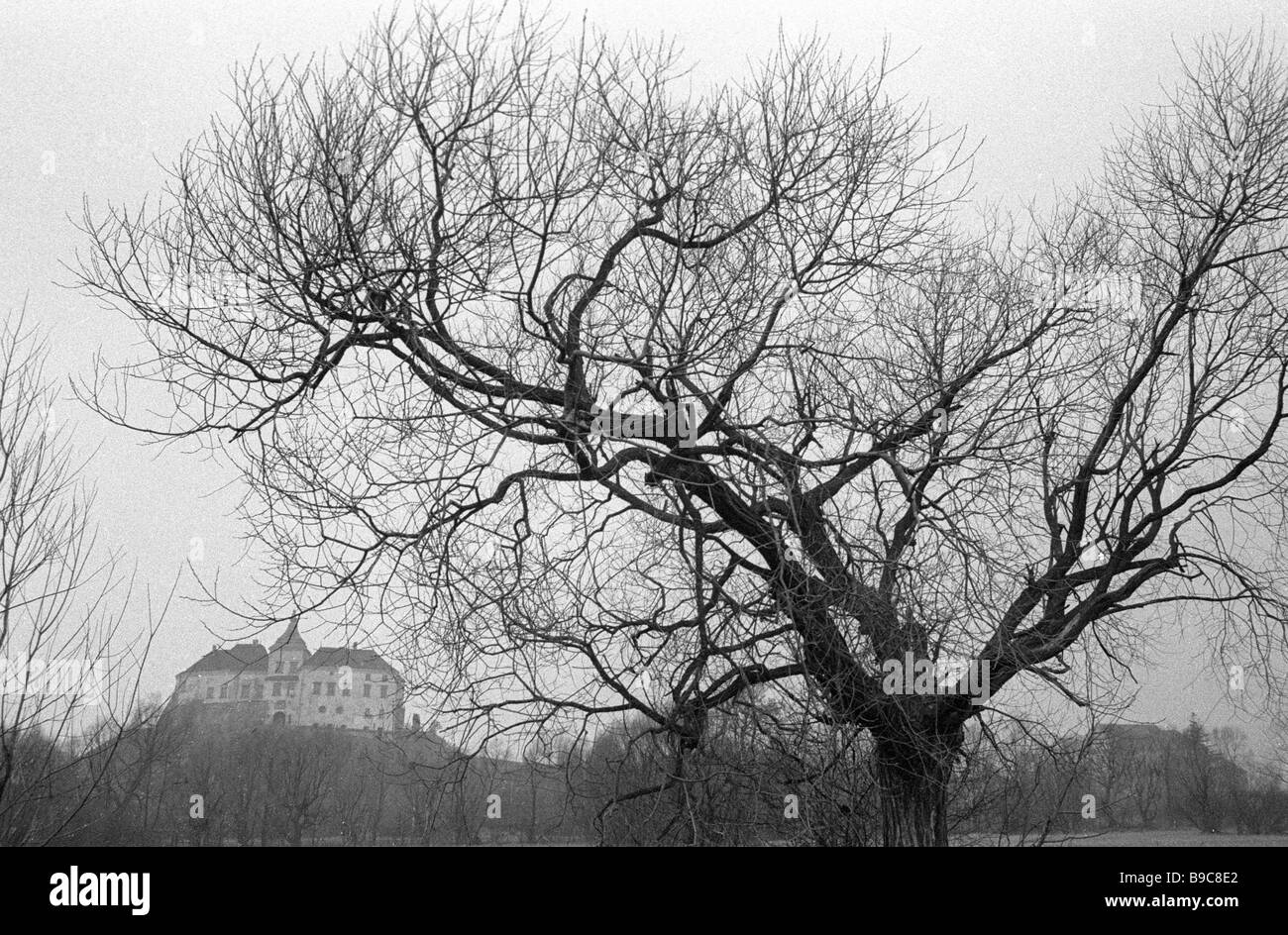 The Odessa Castle in Lvov Ukraine is a museum preserve of architecture ...
