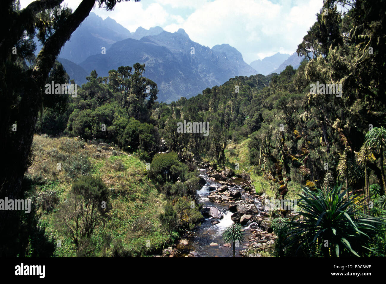 Bigo uganda hi-res stock photography and images - Alamy