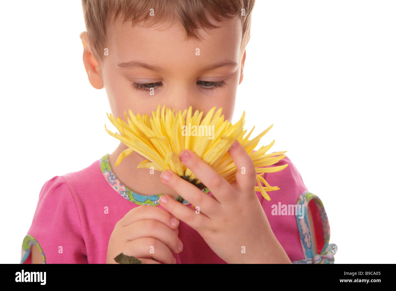 child with yellow flower Stock Photo - Alamy