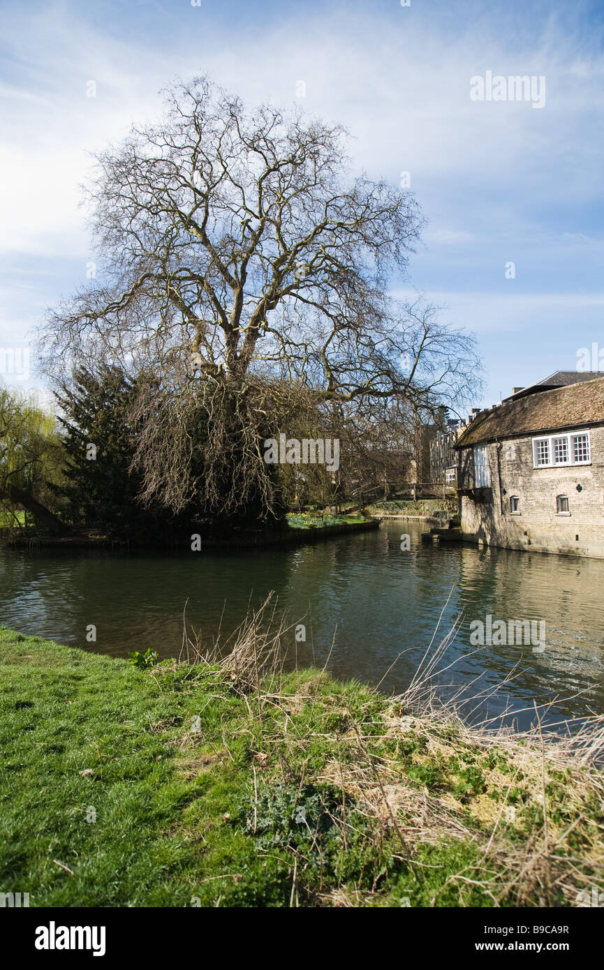 River with Tree in Background Stock Photo - Alamy
