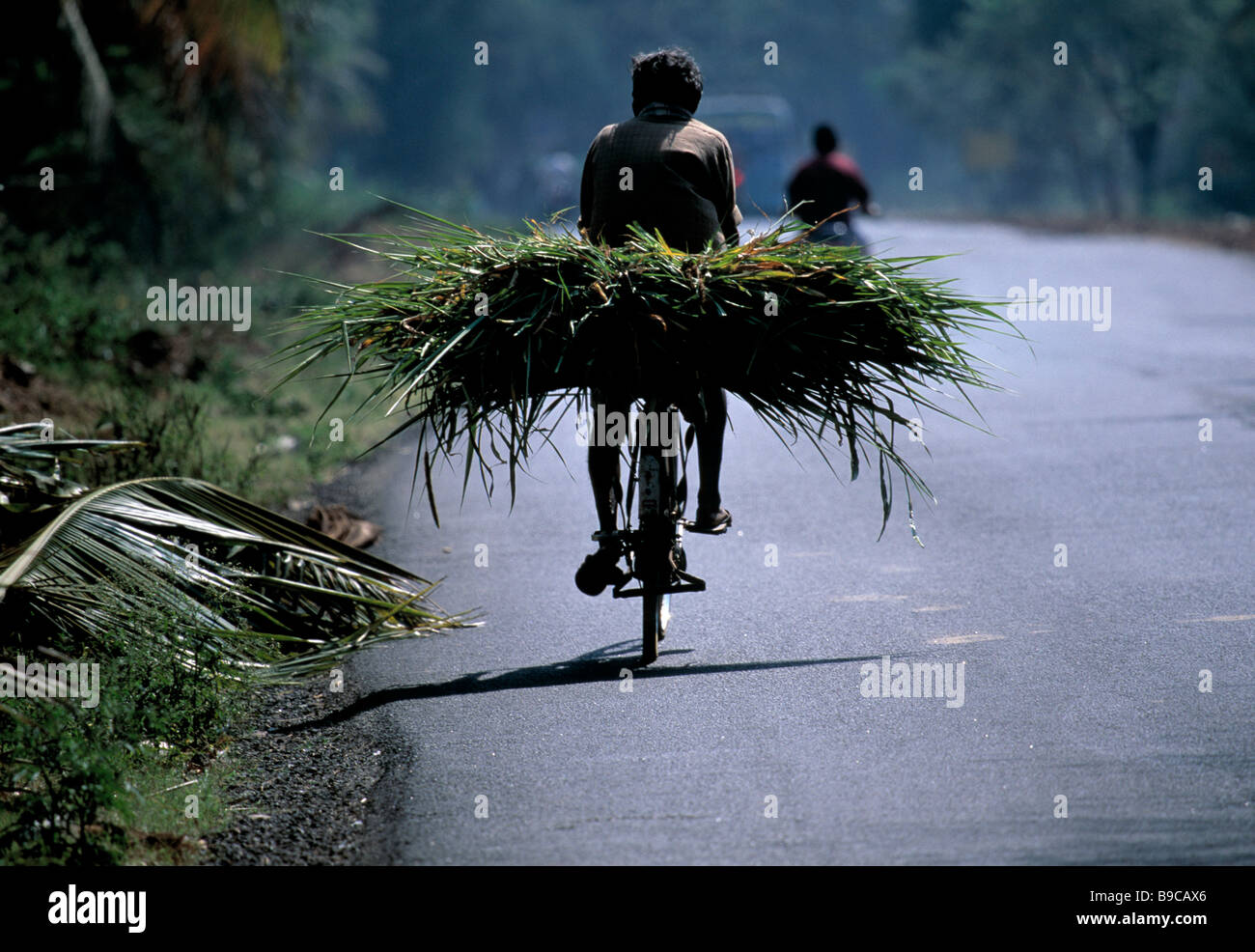 Wide pedal hi-res stock photography and images - Alamy