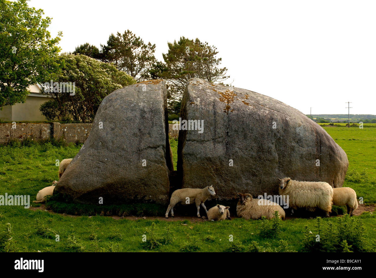 Ice age boulder ireland hi-res stock photography and images - Alamy