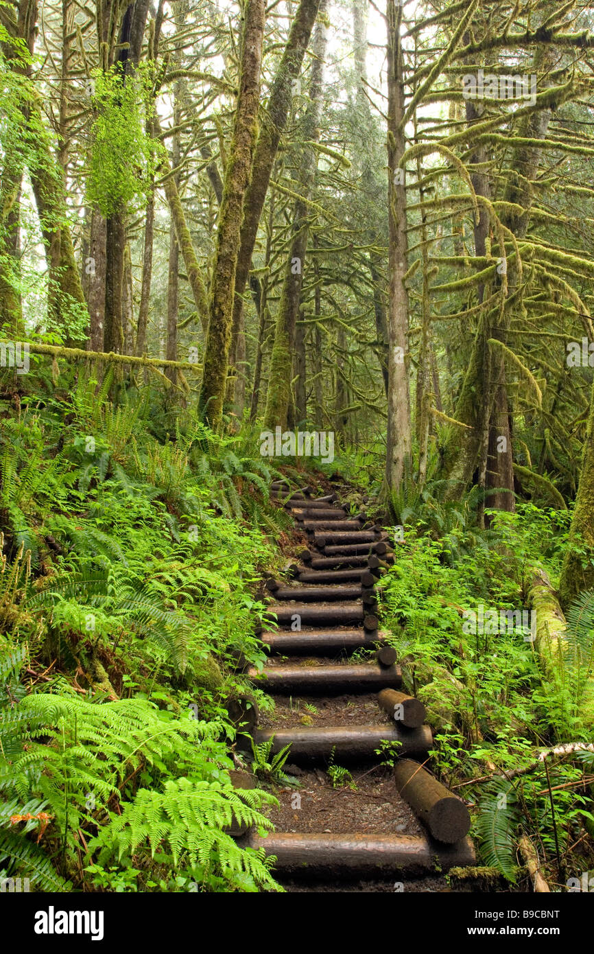Trail in Wallace Falls State Park, Washington Stock Photo - Alamy