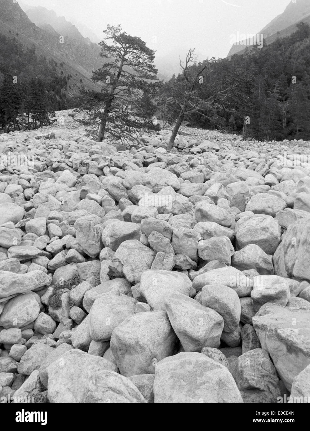 Devastating mudslide effect in the Elbrus region Stock Photo - Alamy