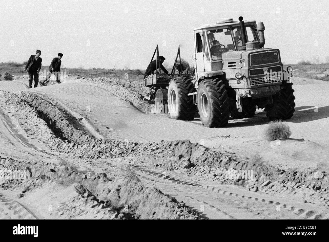 Mechanized planting of grafts Stock Photo - Alamy