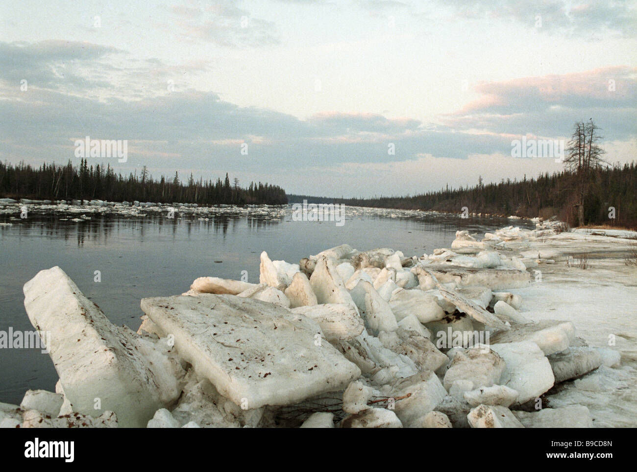Ice floating on a taiga river in spring Stock Photo - Alamy