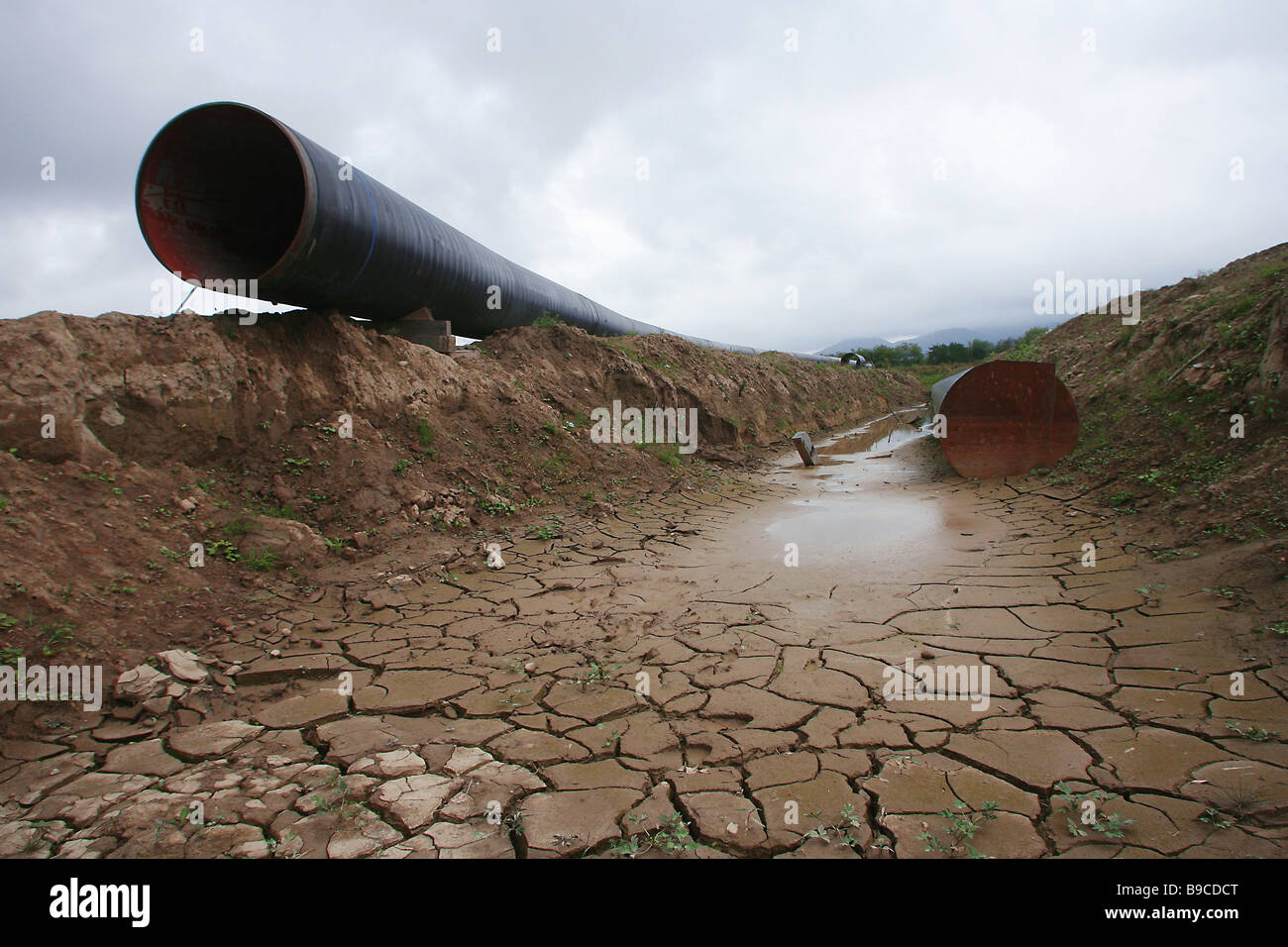 A stretch of the Project Sakhalin 2 mainline crosses the Zubrovy nature ...