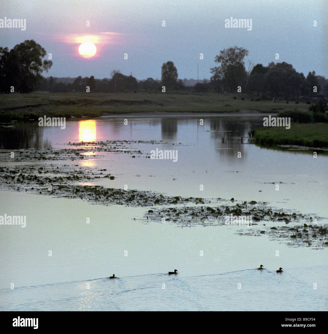 Seim River near Lgov city Stock Photo - Alamy