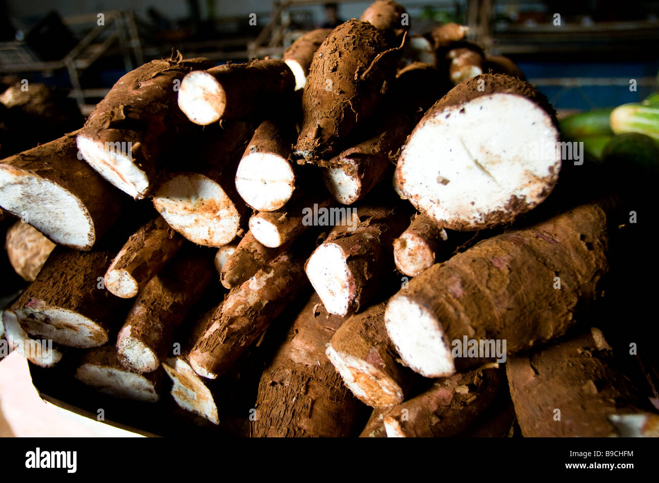 Yucca root hi-res stock photography and images - Alamy