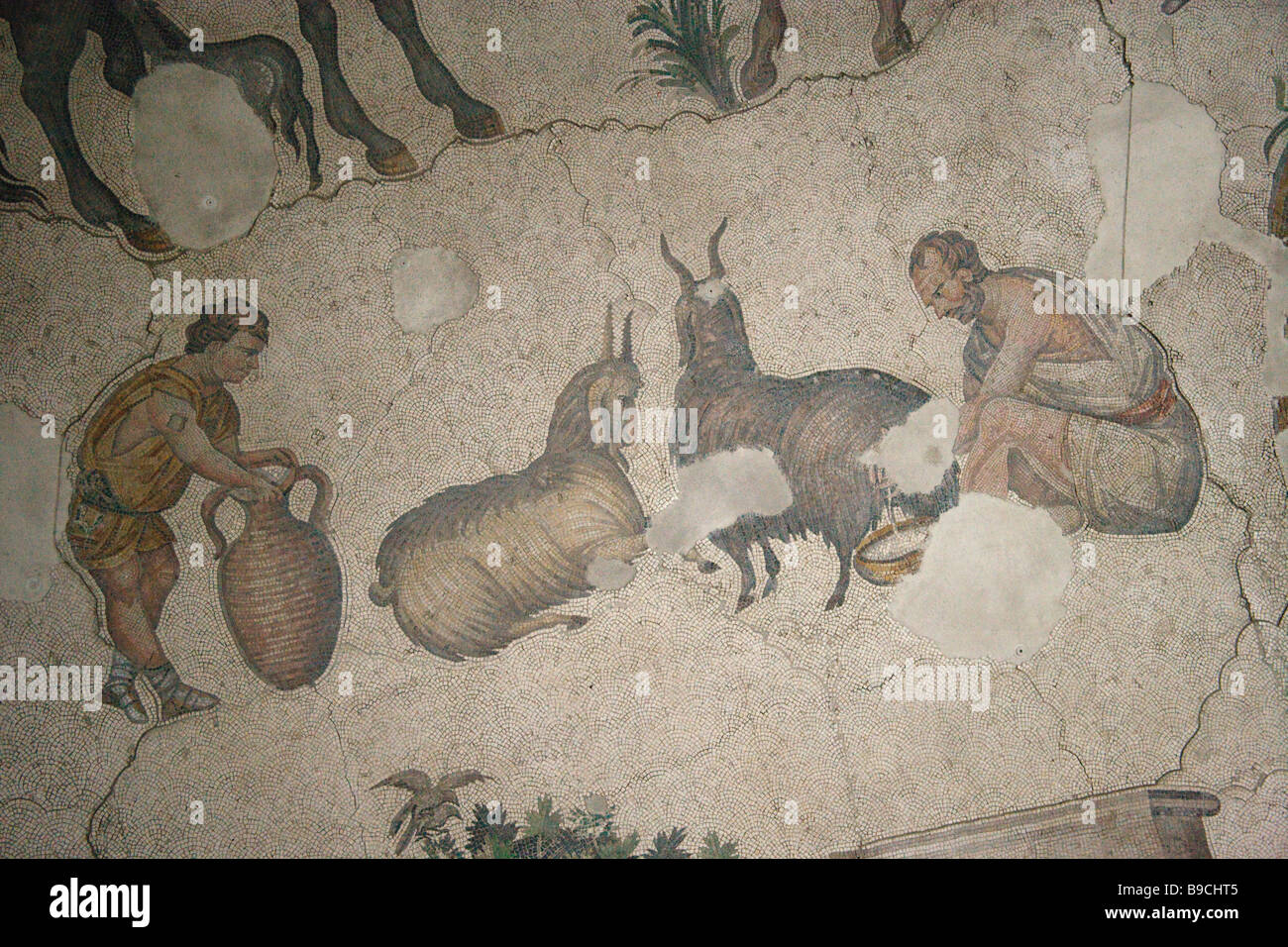 Mosaic work depicting farmers milking goats The Great Palace Mosaic ...
