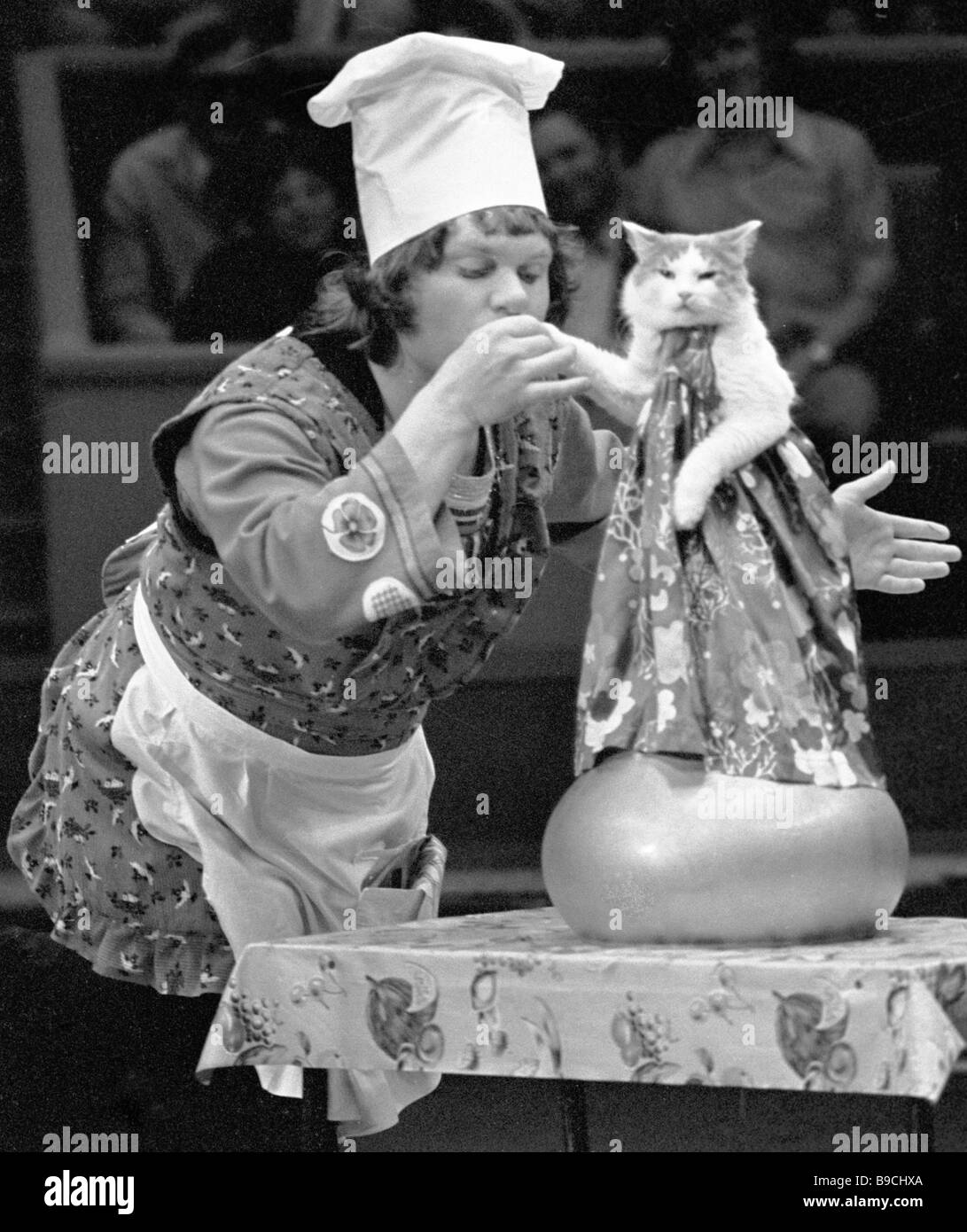 Yuri Kuklashev s favorite partner cat Strelka Arrow Stock Photo - Alamy