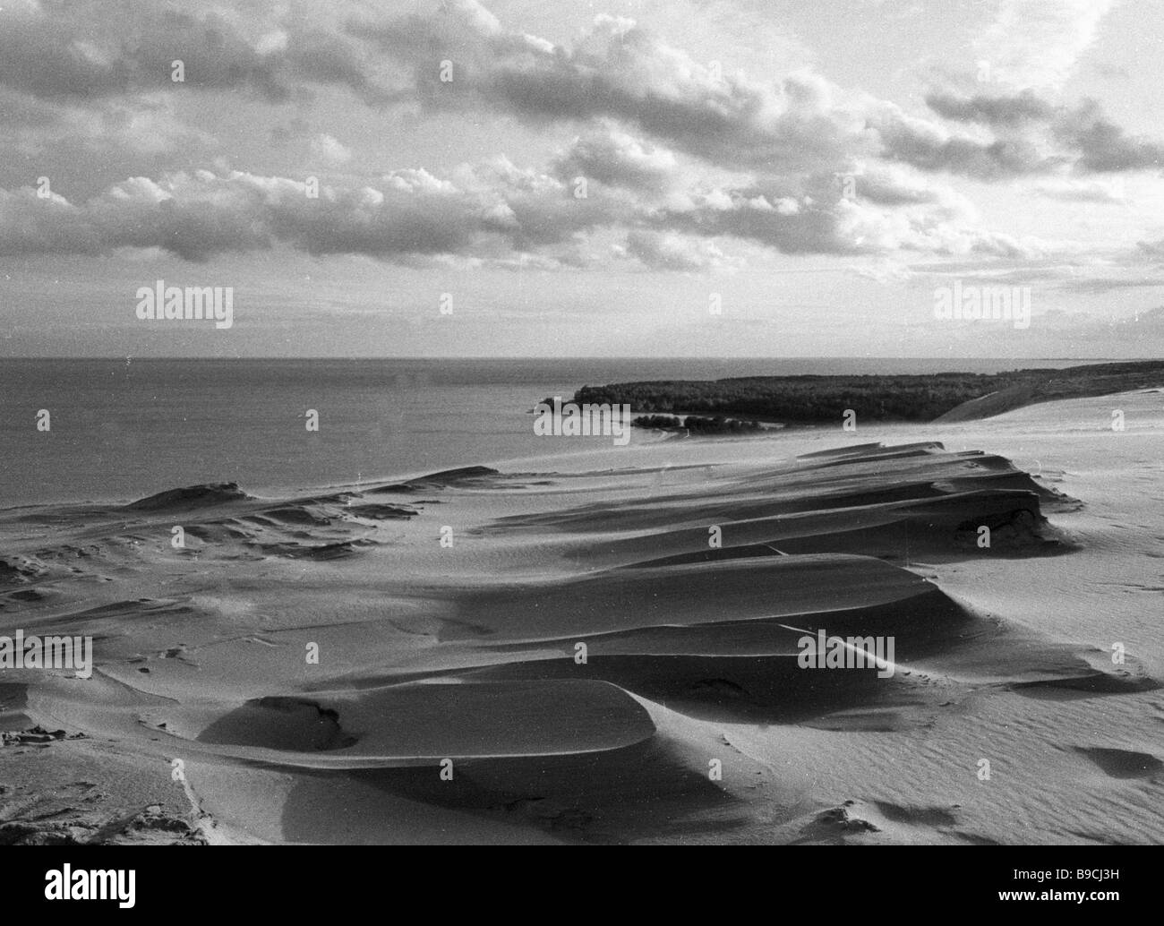 Sand dunes of the Couronian lagoon Stock Photo - Alamy