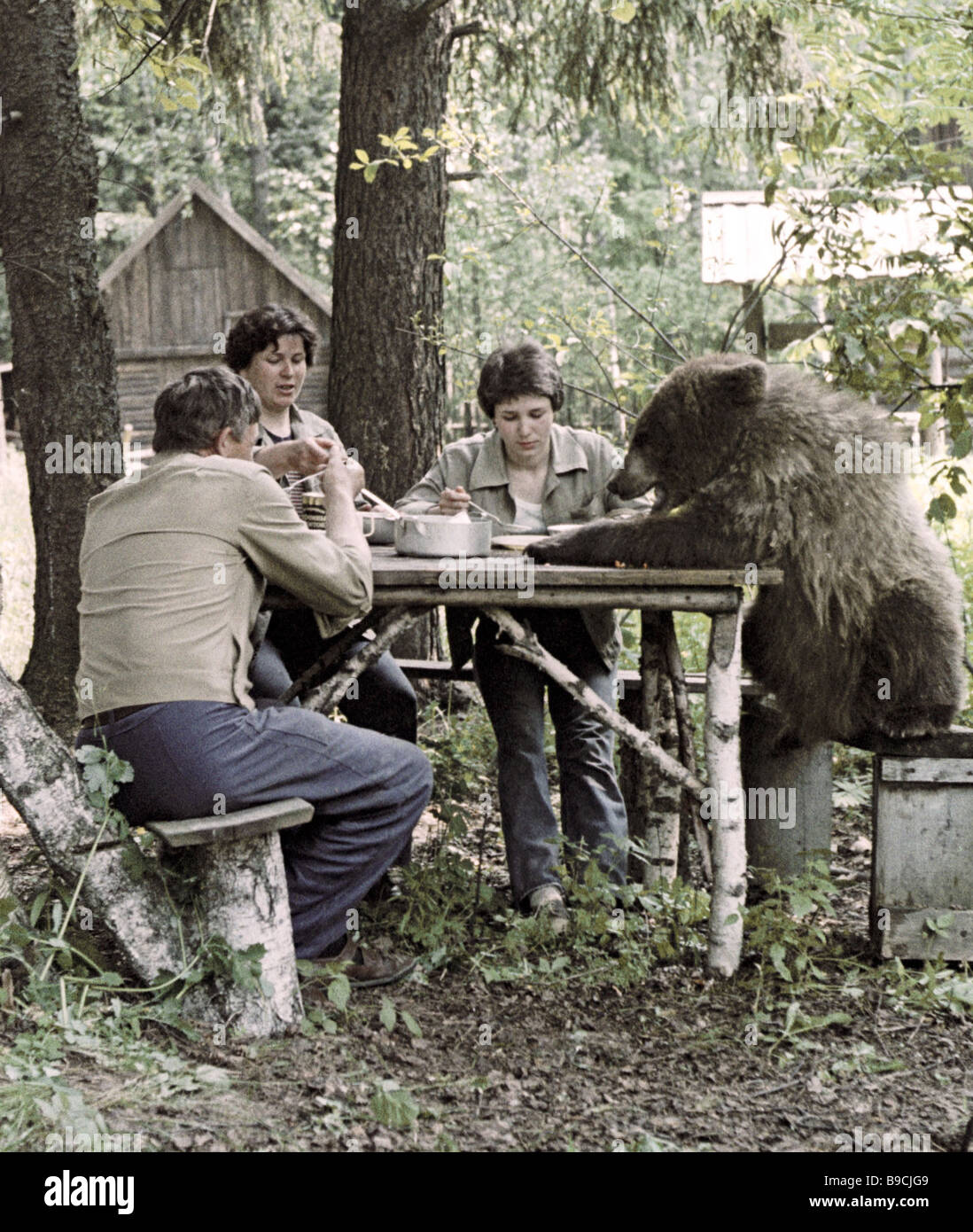 Trained Bear High Resolution Stock Photography and Images - Alamy