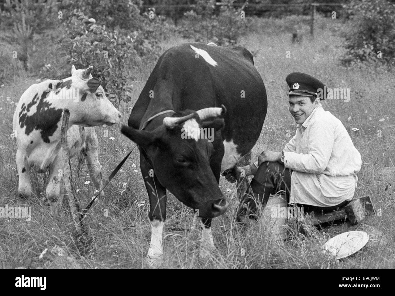Frontier guard milking a cow at the Hero of the Soviet Union Kaimanov ...