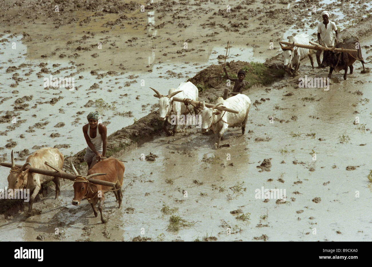 Peasants Working High Resolution Stock Photography and Images - Alamy