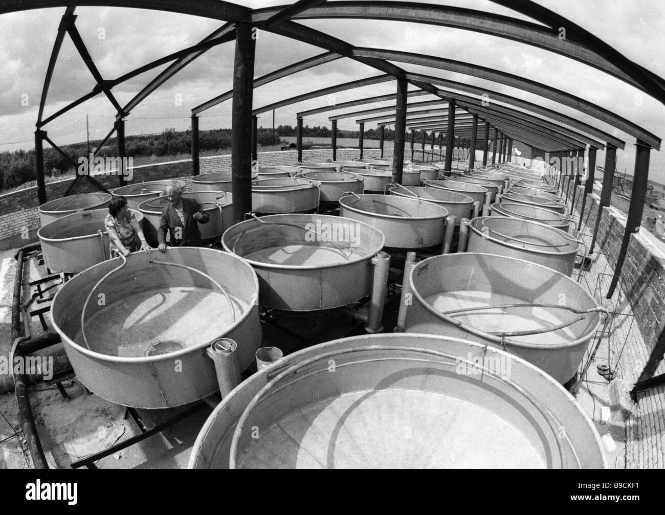 Construction of a mechanized fish breeding facility Stock Photo - Alamy
