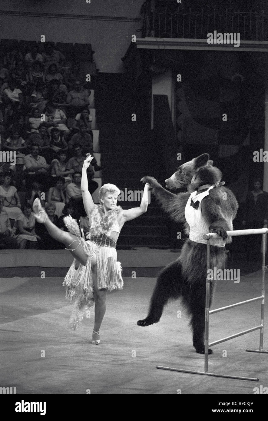 Bear trainer in Batumi circus arena Stock Photo - Alamy