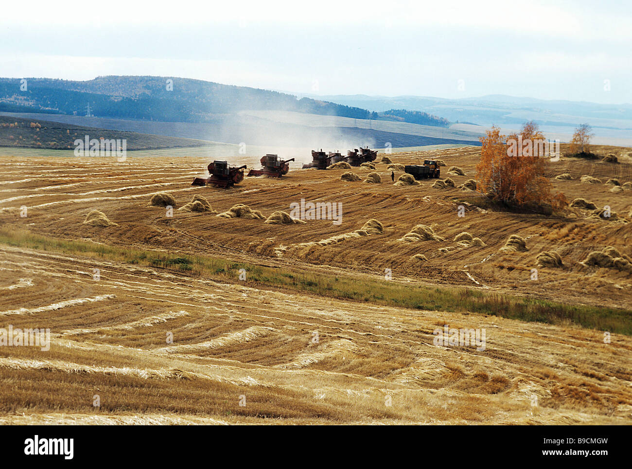 Harvesting crops on collective farm fields Stock Photo - Alamy