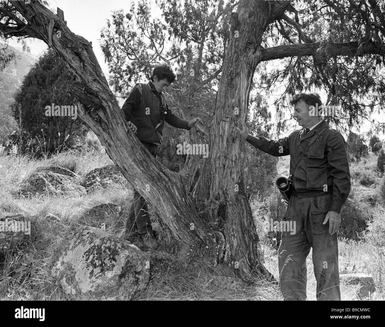 Visitors of the Ala Archa national nature protection park admiring an ...