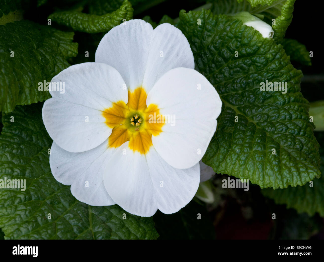 Quantum center hi-res stock photography and images - Alamy