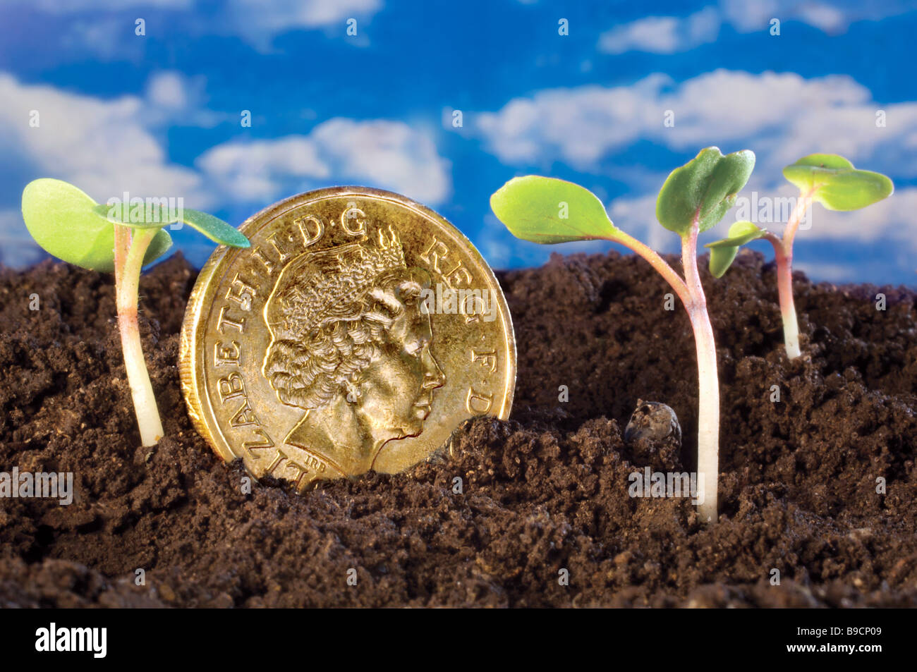 Green Shoots Stock Photos & Green Shoots Stock Images - Alamy