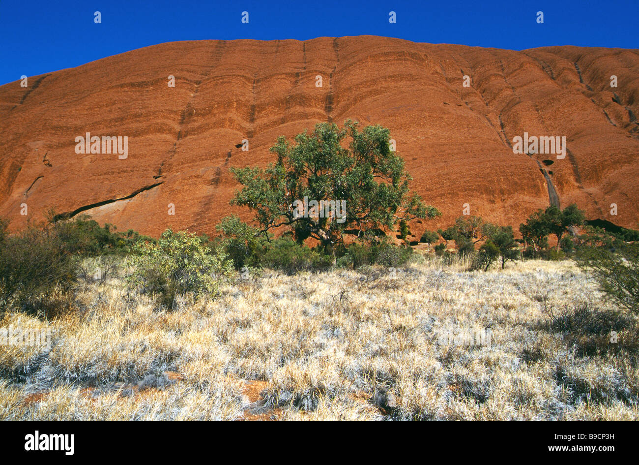 uluru - ayers rock Stock Photo - Alamy