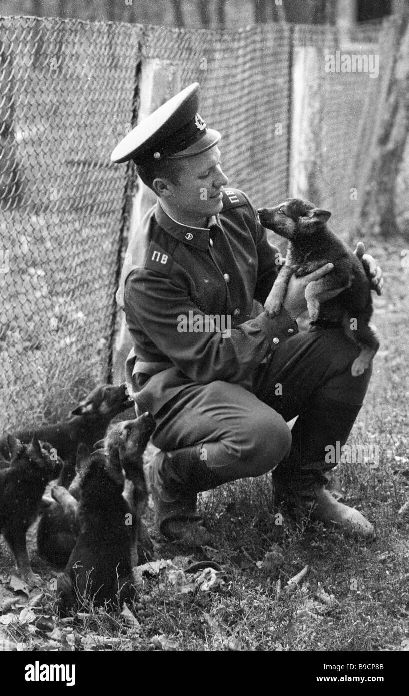 Border guard of the Pacific border control district with puppies Stock ...