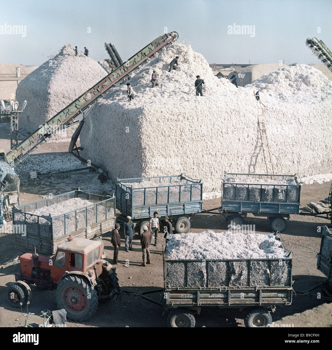 A cotton collecting station Stock Photo - Alamy
