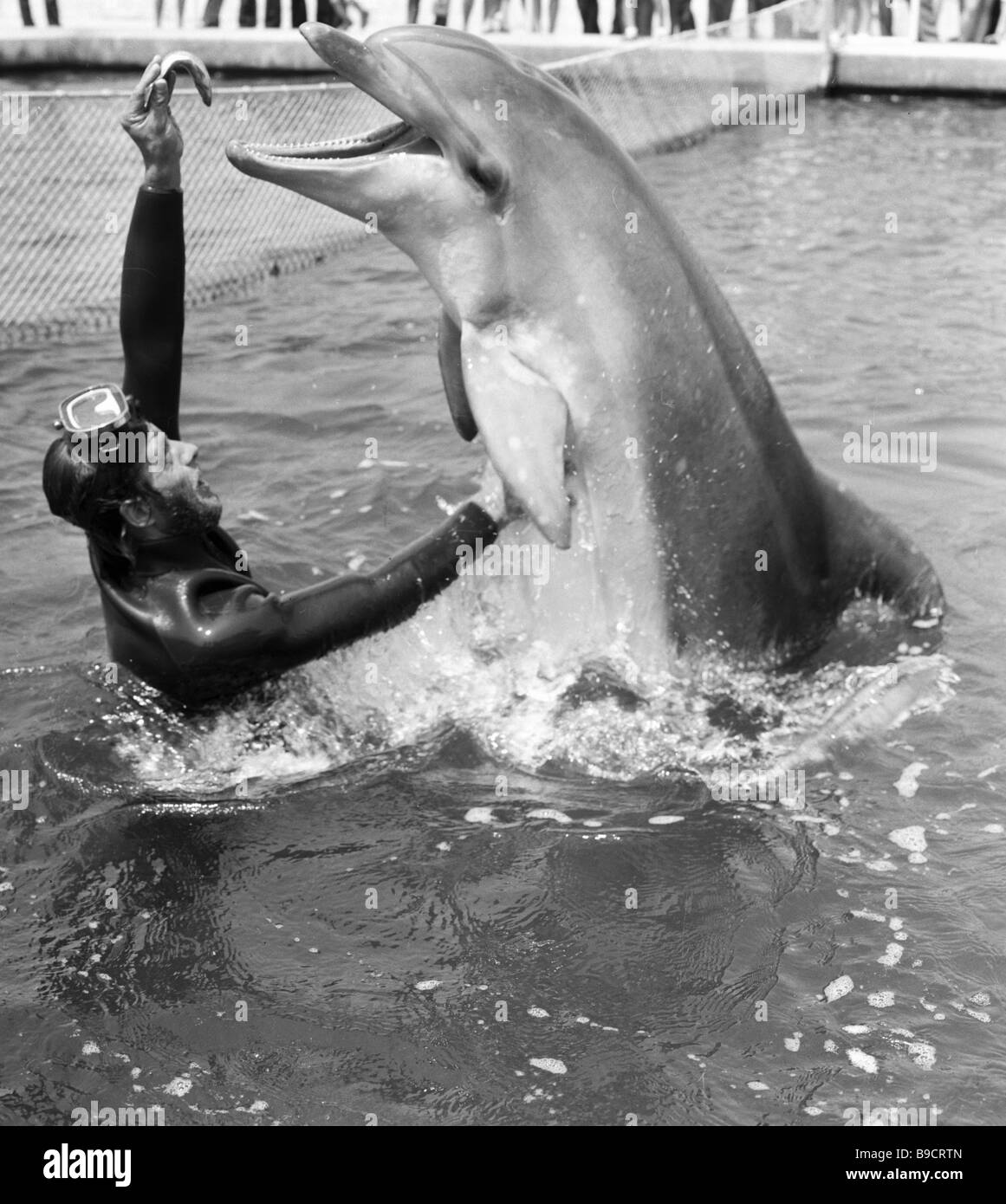 The Batumi dolphinarium Stock Photo - Alamy