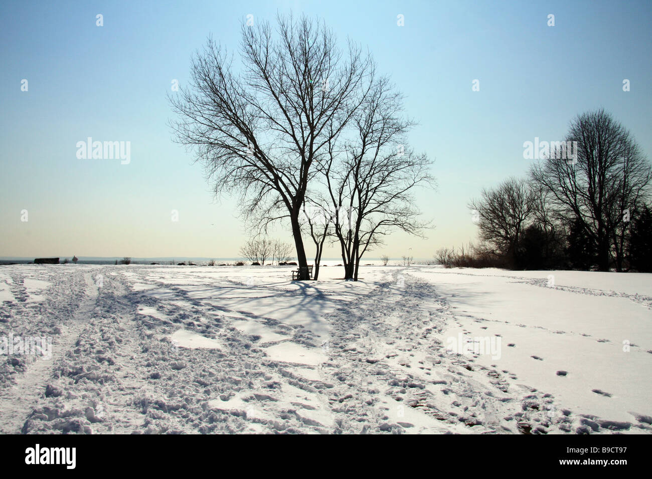 Frozen winter landscape Stock Photo - Alamy
