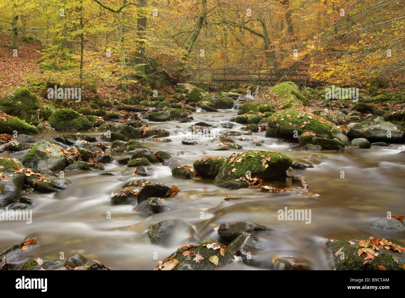 Lakeland stream in Autumn colours, Lake District, England UK Stock ...