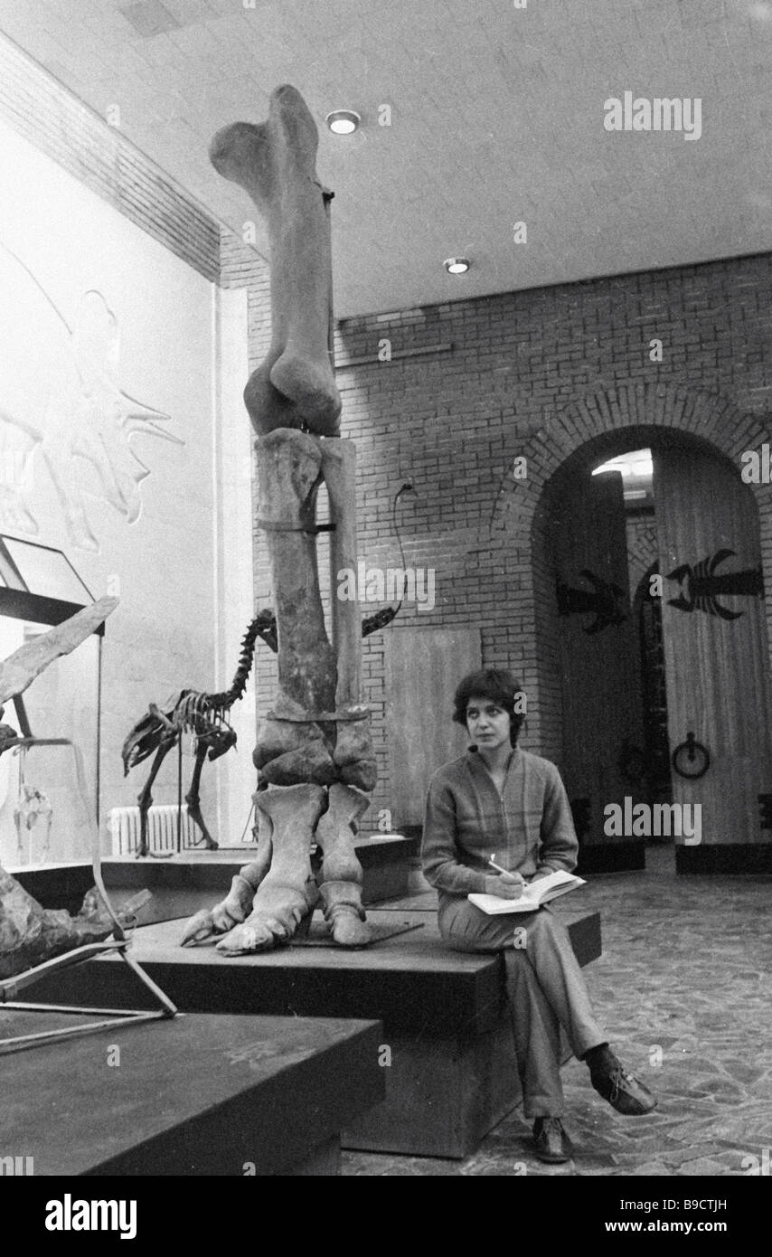 A female visitor sitting next to a gigantic leg bone of a brontosaurus ...