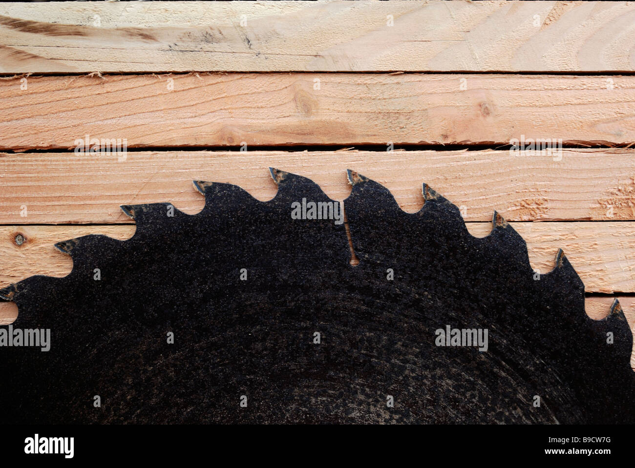 Circular saw blade alongside freshly sawn Douglas Fir timber Stock ...