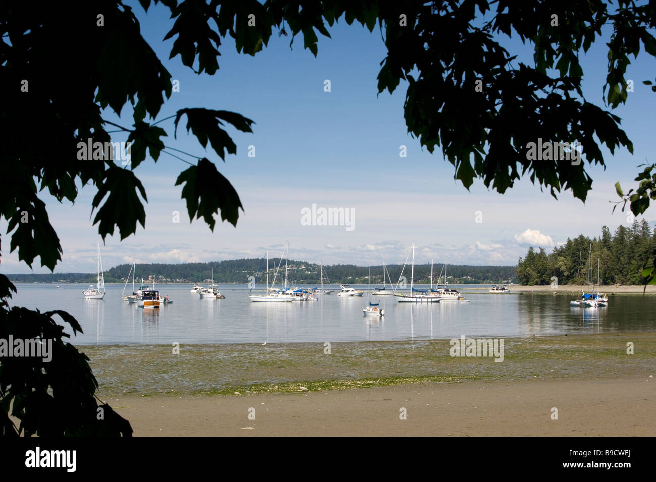 Sailboats at Penrose Point State Park, Washington Stock Photo - Alamy