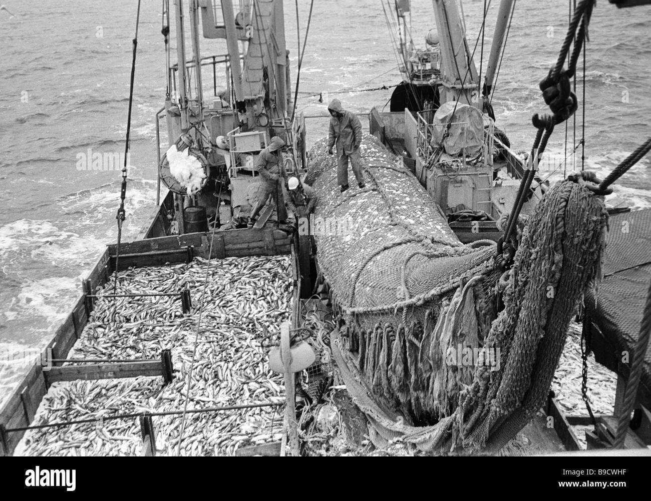 Seiner returning to the base with bunkers full of fish Stock Photo - Alamy
