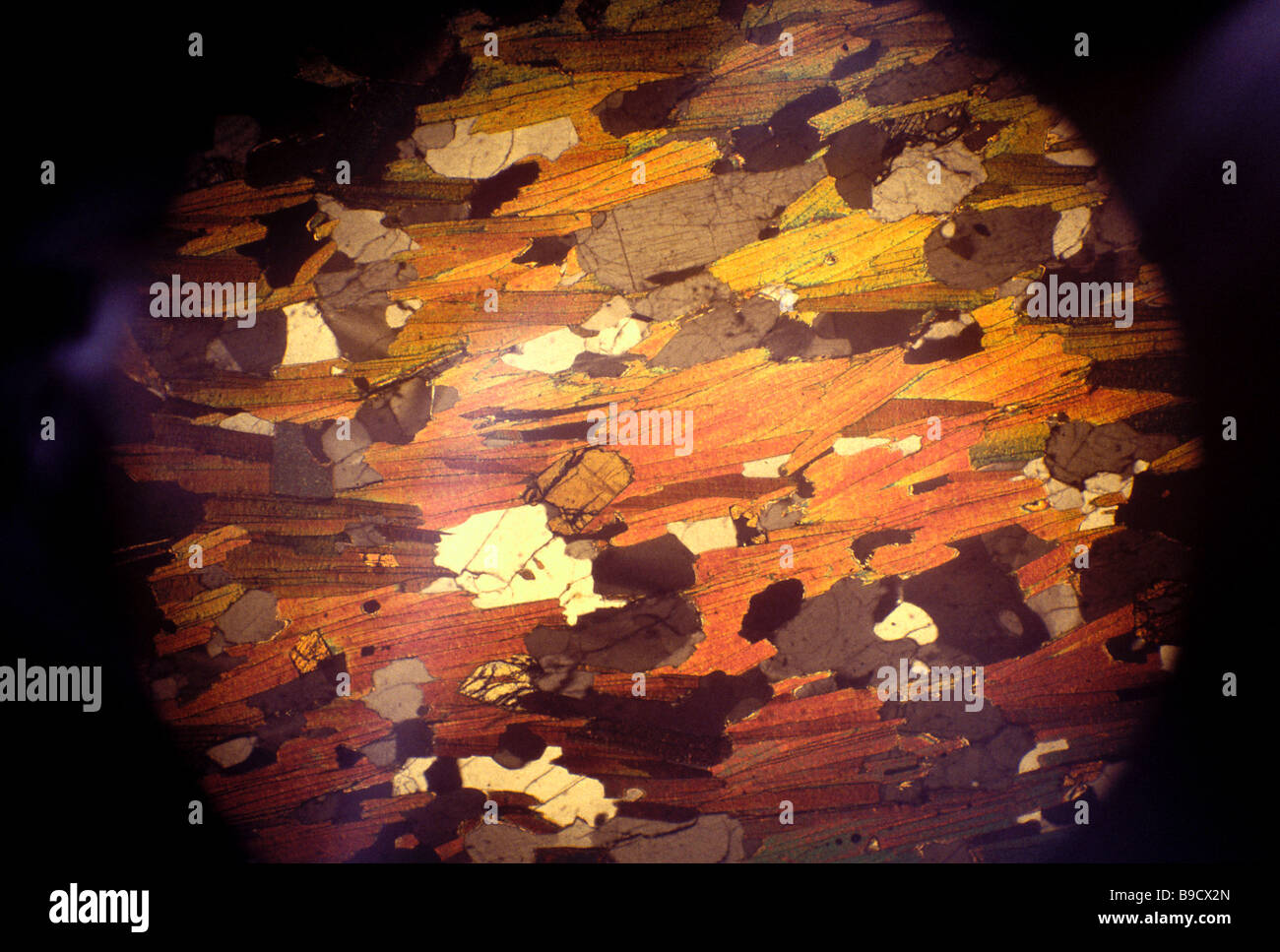 Deep layer soil under the microscope The sample was taken from a super ...