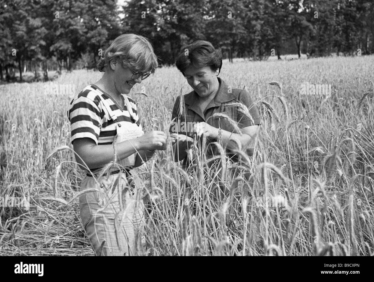 Finnish agronomists on a sovkhoz field near Moscow in the framework of ...