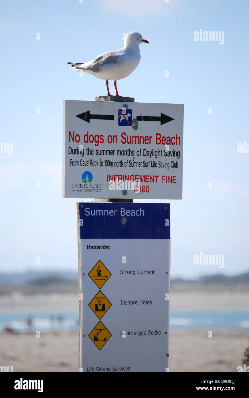 Sumner beach cave rock sumner hi-res stock photography and images - Alamy