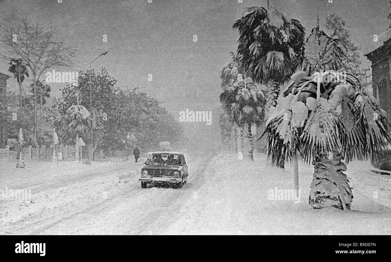 A snowfall in Batumi Stock Photo - Alamy