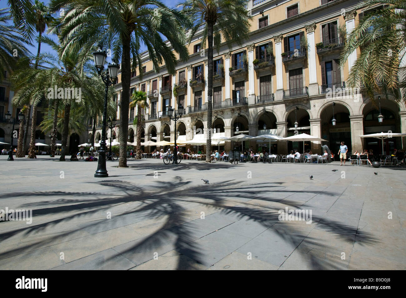 Real square hi-res stock photography and images - Alamy